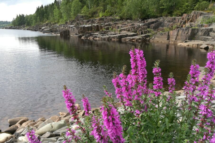 Itäkoski, Länsikoski ja Törmä - Keminmaa